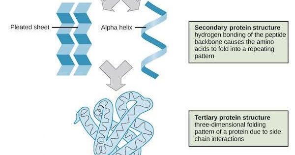 Food Science and Nutrition Library | Healthy recipes| life quotes : # ...