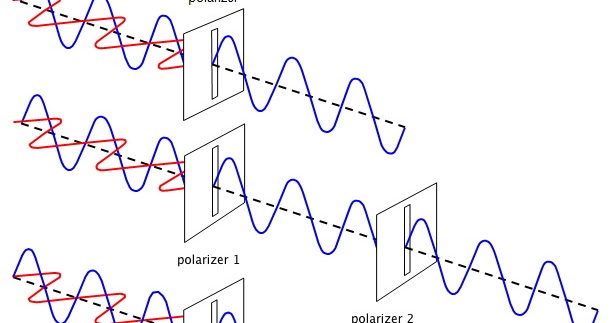 The Winding Number: From polarisation to quantum mechanics: states ...