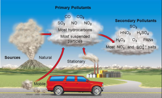 CBSE UGC NET People and Environment- Pollutants and their effect