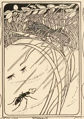 Mythology and Folklore UN-Textbook: Aesop's Fables: Insects, Fishes ...