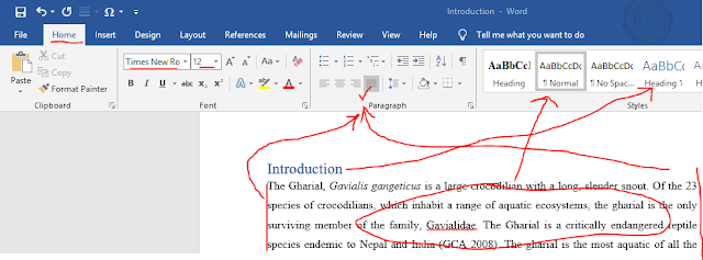 How to make formal document in Ms-Word? - Blogger Nepal