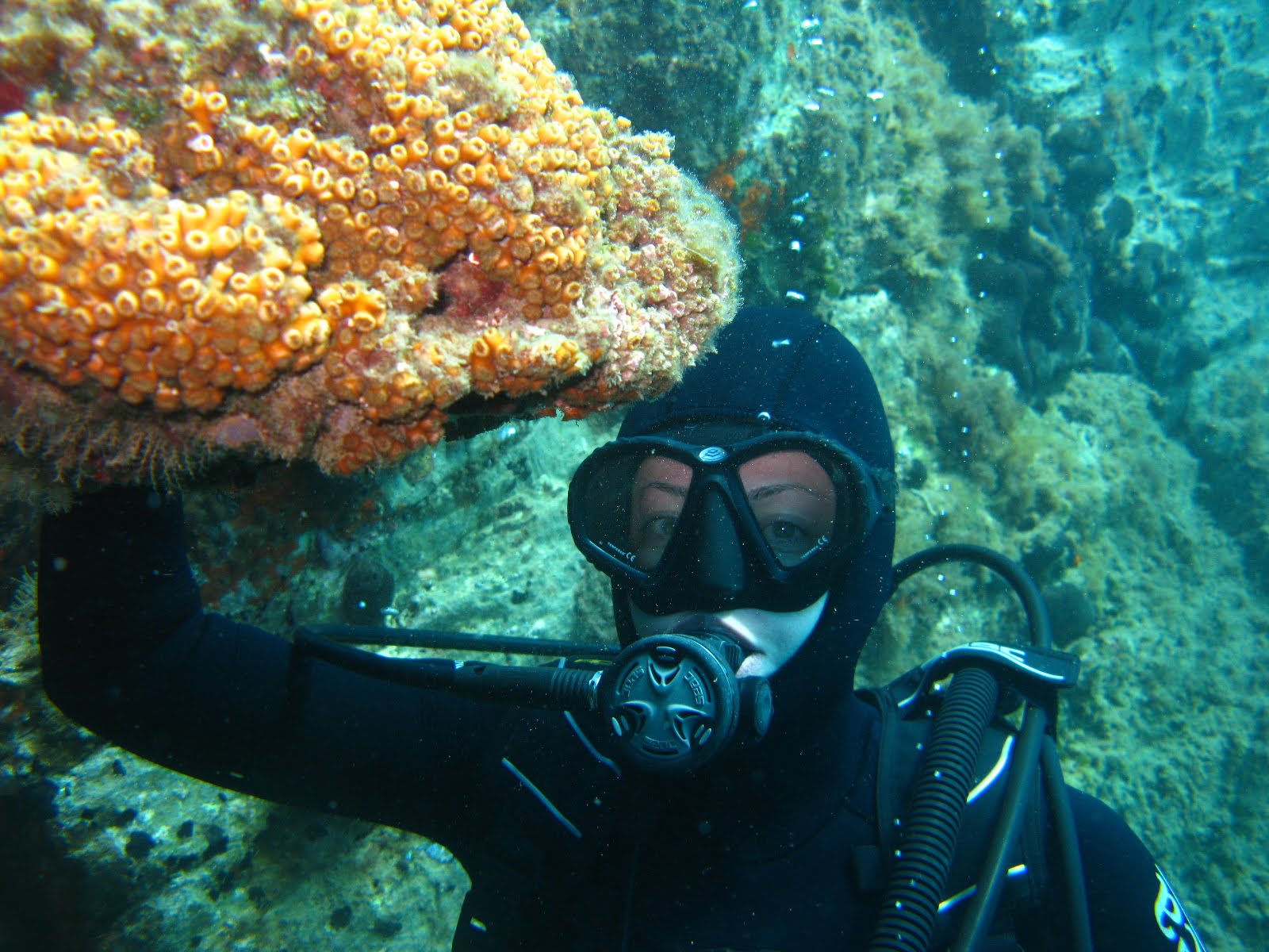 Petries Divers Club: καταδυση στο Γαρδο