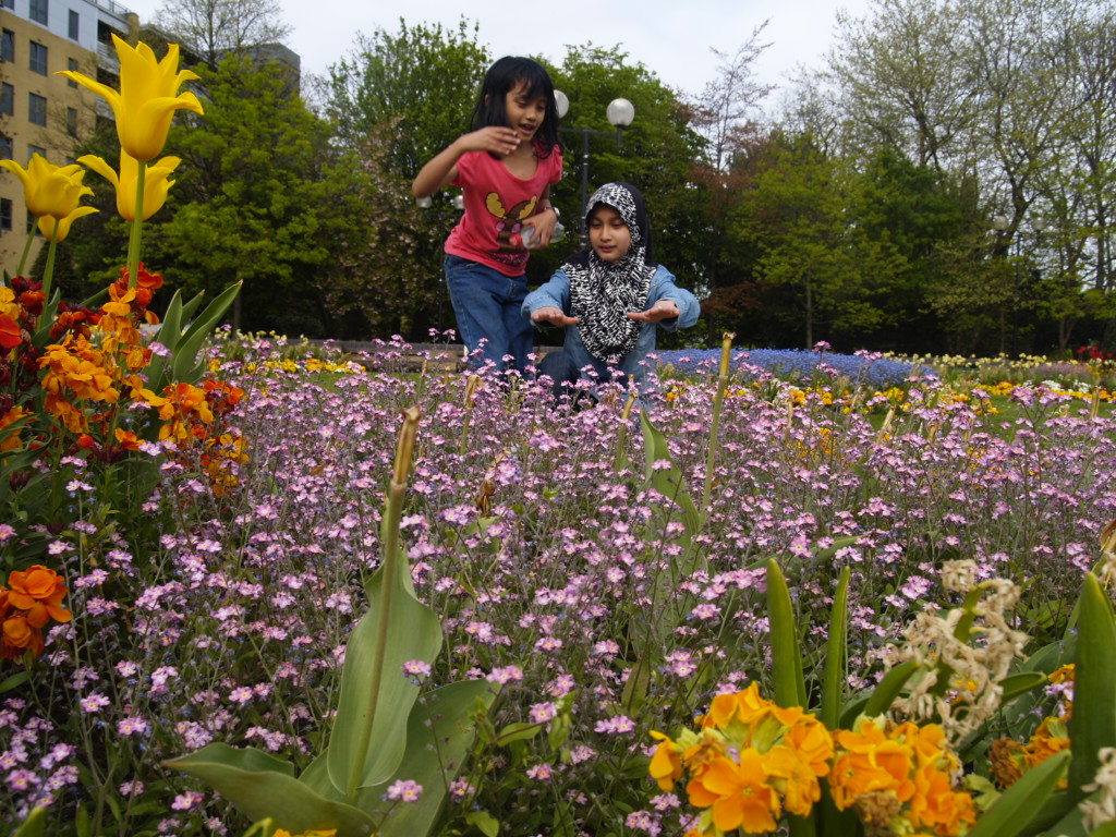 memori di bumi Eropah: aktiviti musim bunga...2011...di UK