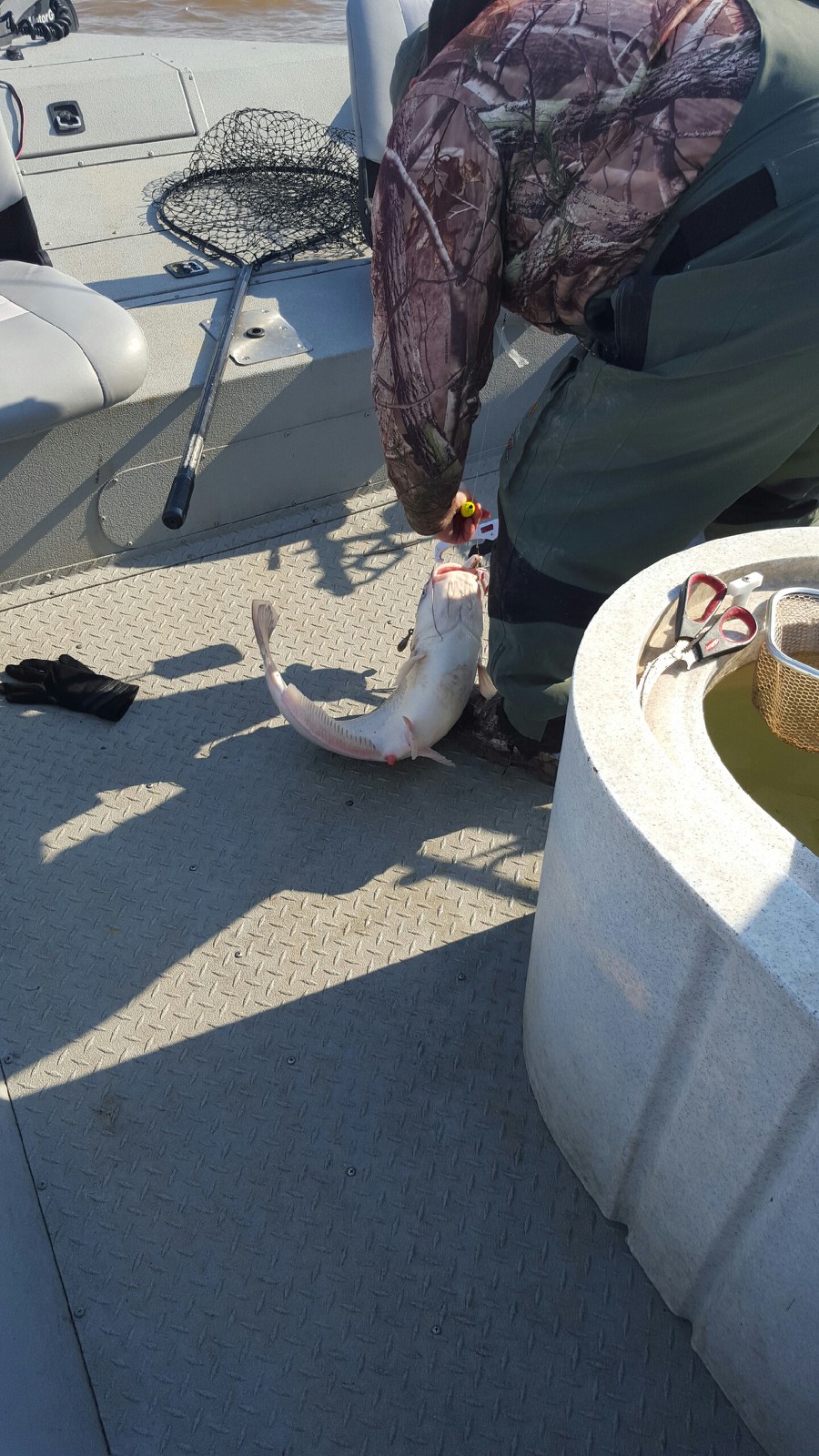 Larry's Hook Line and Sinker: Catfishing on Keystone Lake 2/13/16
