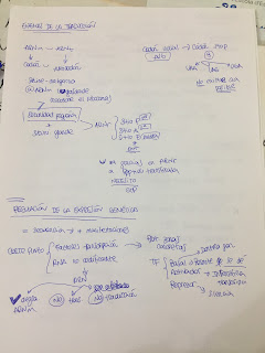 Lesson plan ARN y ADN