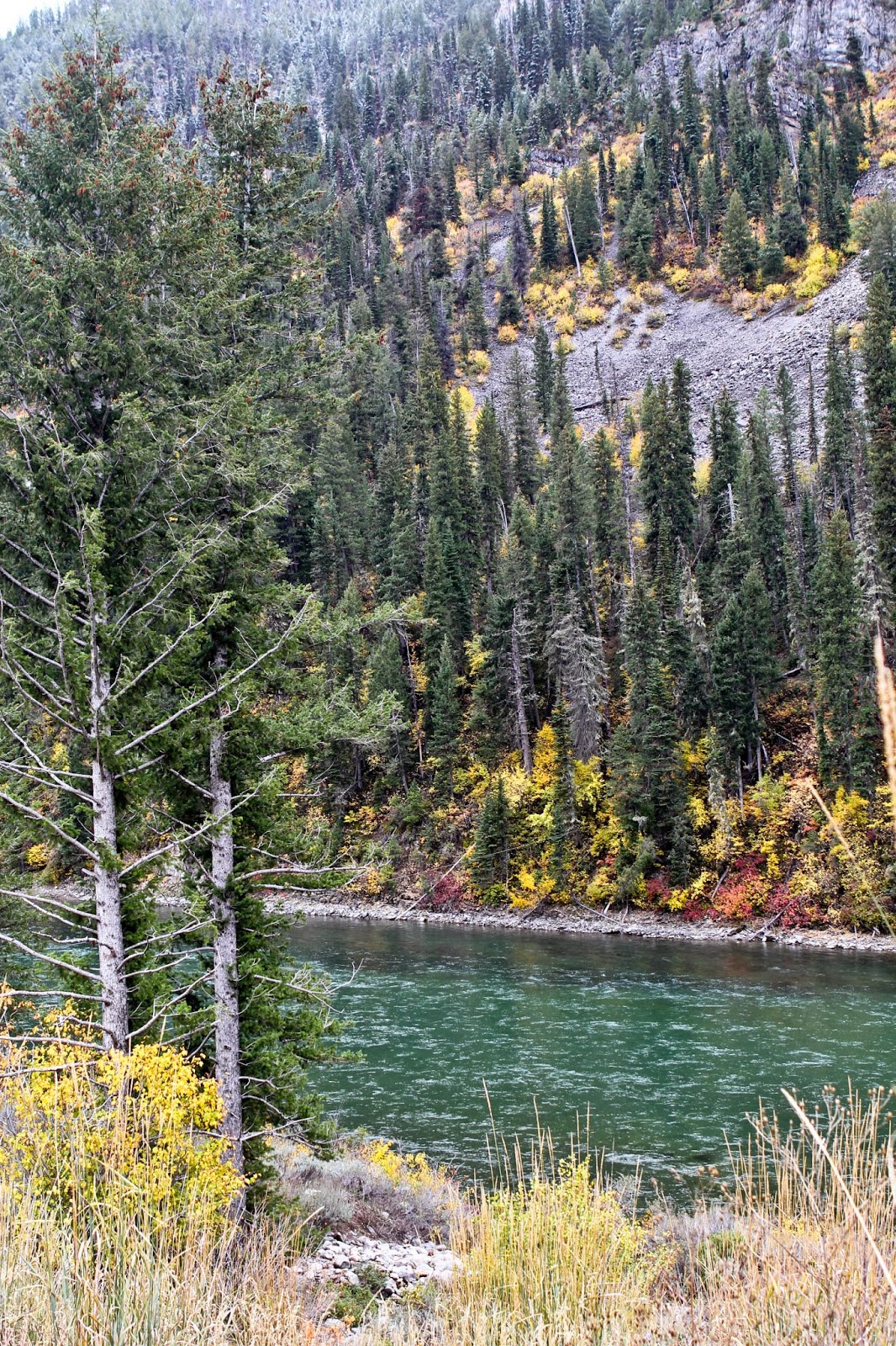 A Little Cuppa Tea: Fall: Sundance, Utah & Wyoming