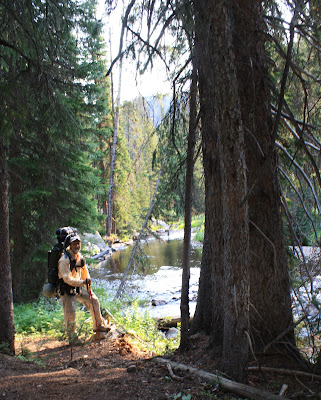 Living and Dyeing Under the Big Sky: Russell Creek - Beartooth ...