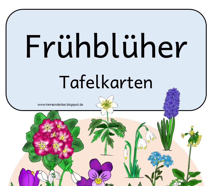 Herr Sonderbar: Frühblüher (Tafelkarten und Puzzle-Aufgaben)