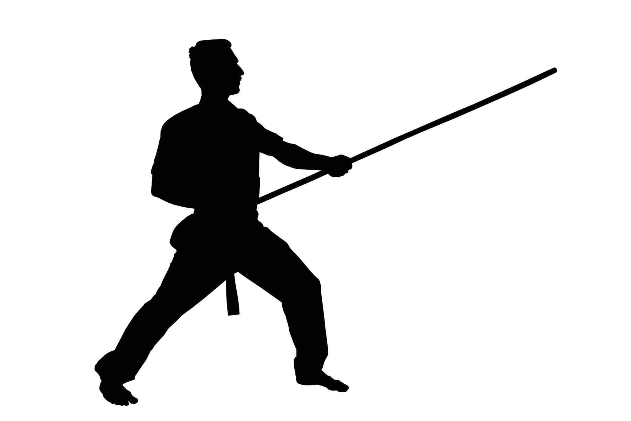 Panchabootha International Martial Arts Academy: Silambam Clipart , vector