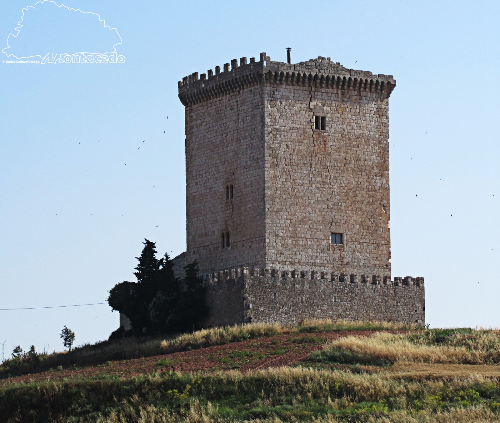 Tierras de Burgos: Castillo de Mazuelo de Muñó