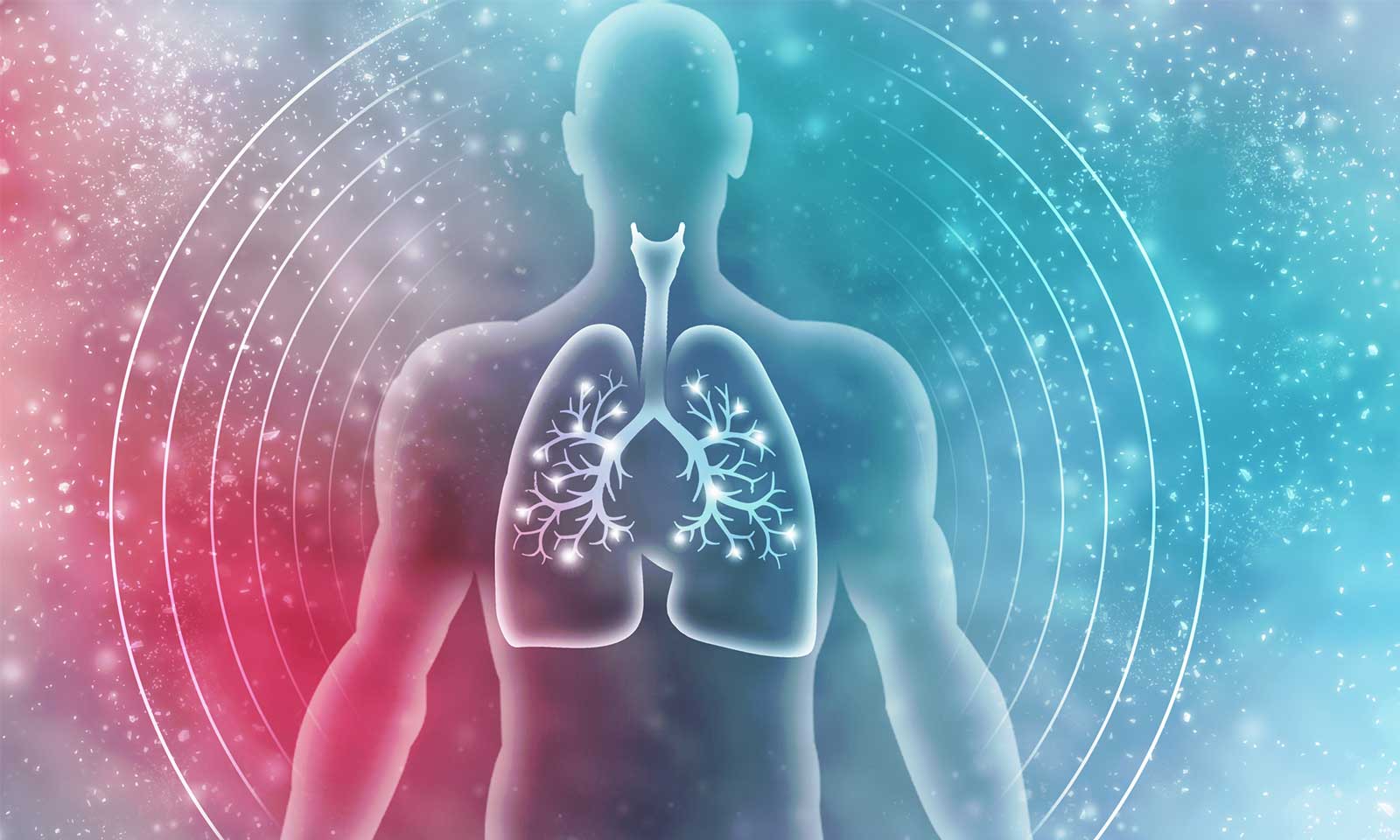 O Guia Definitivo de Respiração. - Estilo de Vida Carnívoro