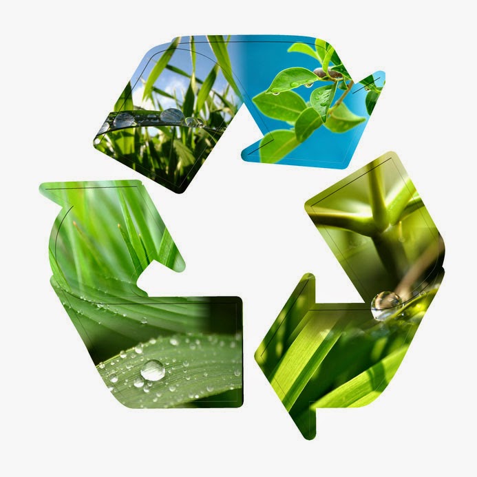 Desarrollo Sustentable: Las 3 erres ecológicas