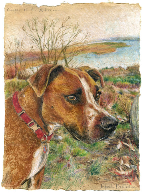 Daniel Baxter Art: Pet Portraits