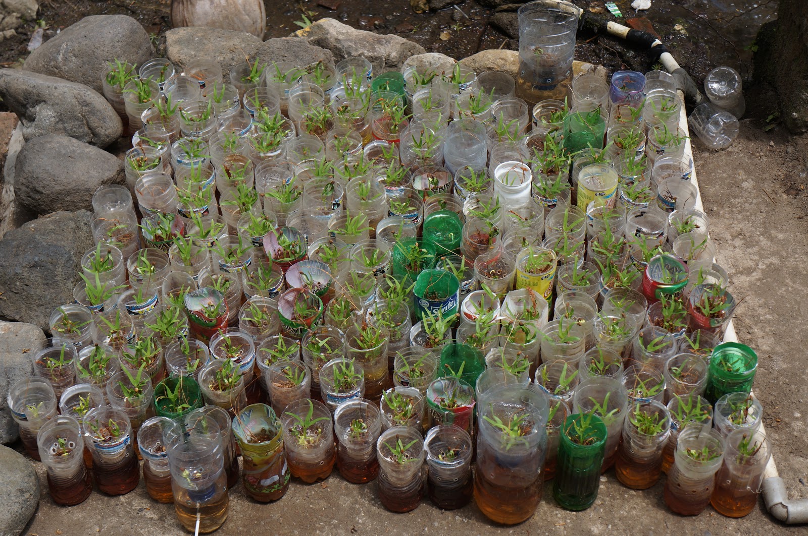 18+ Ide Terkini Pemanfaatan Botol Bekas