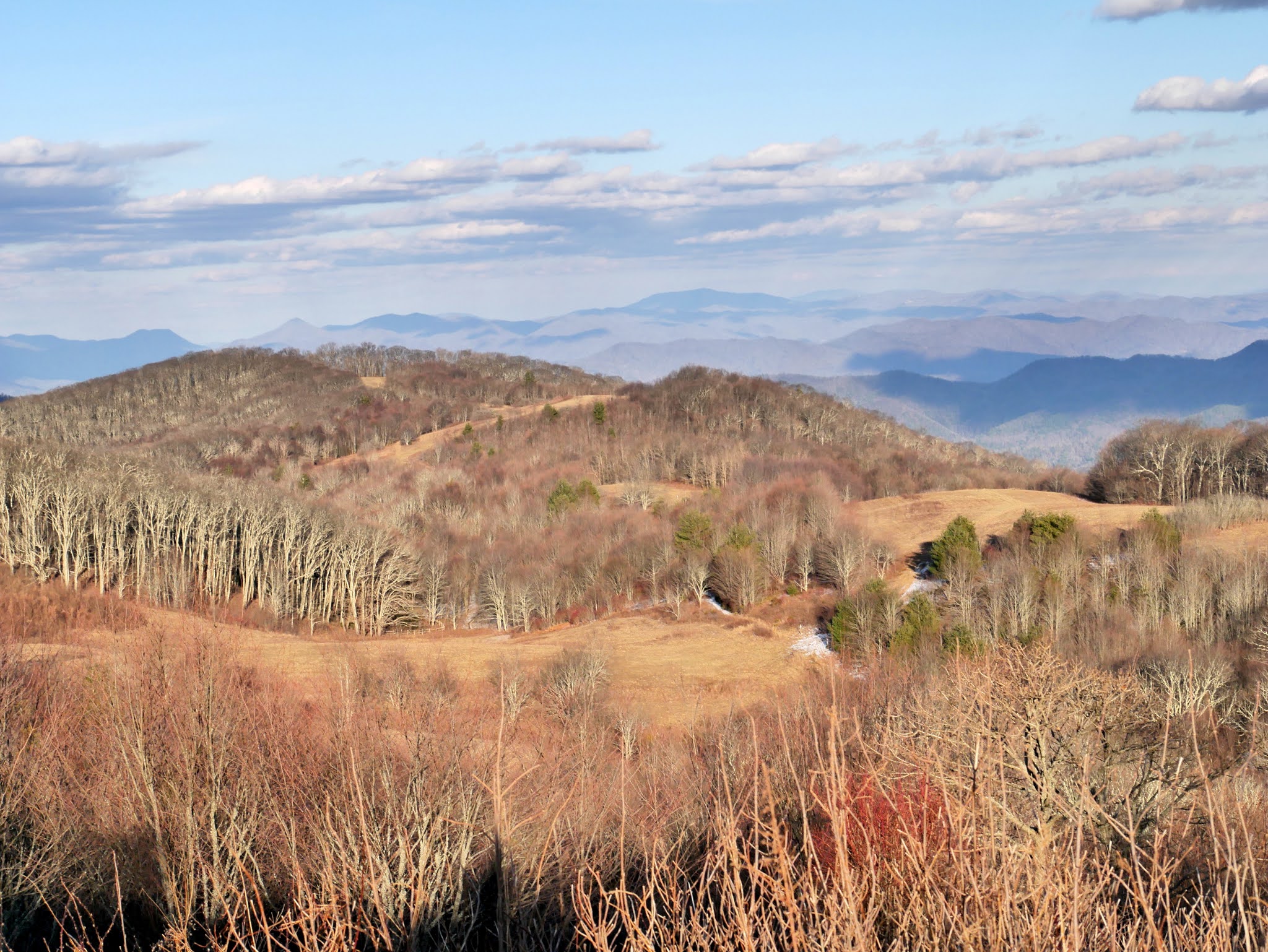 American Travel Journal: Max Patch Road to Max Patch Summit ...