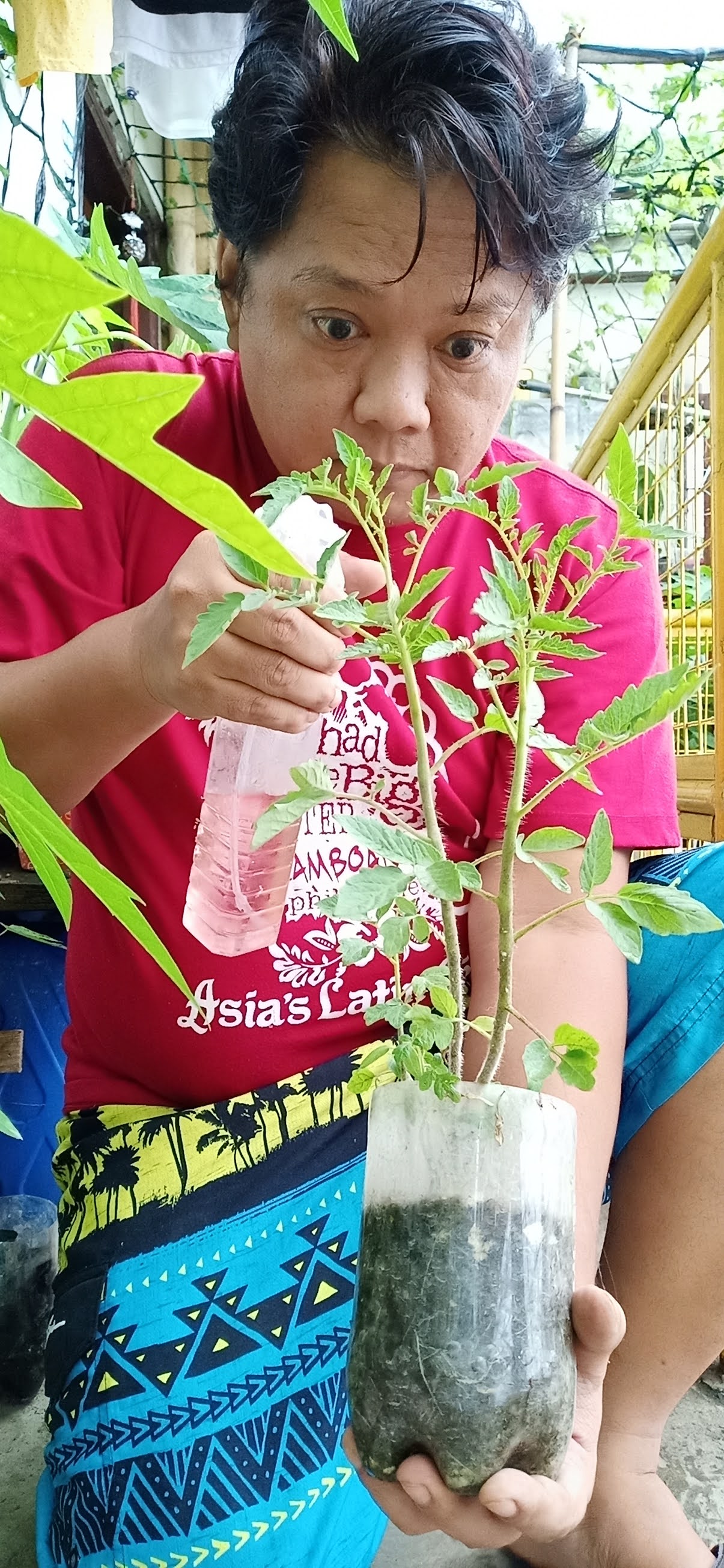 Different Kinds of Plantito/Plantita Visualized ~ Wazzup Pilipinas News ...