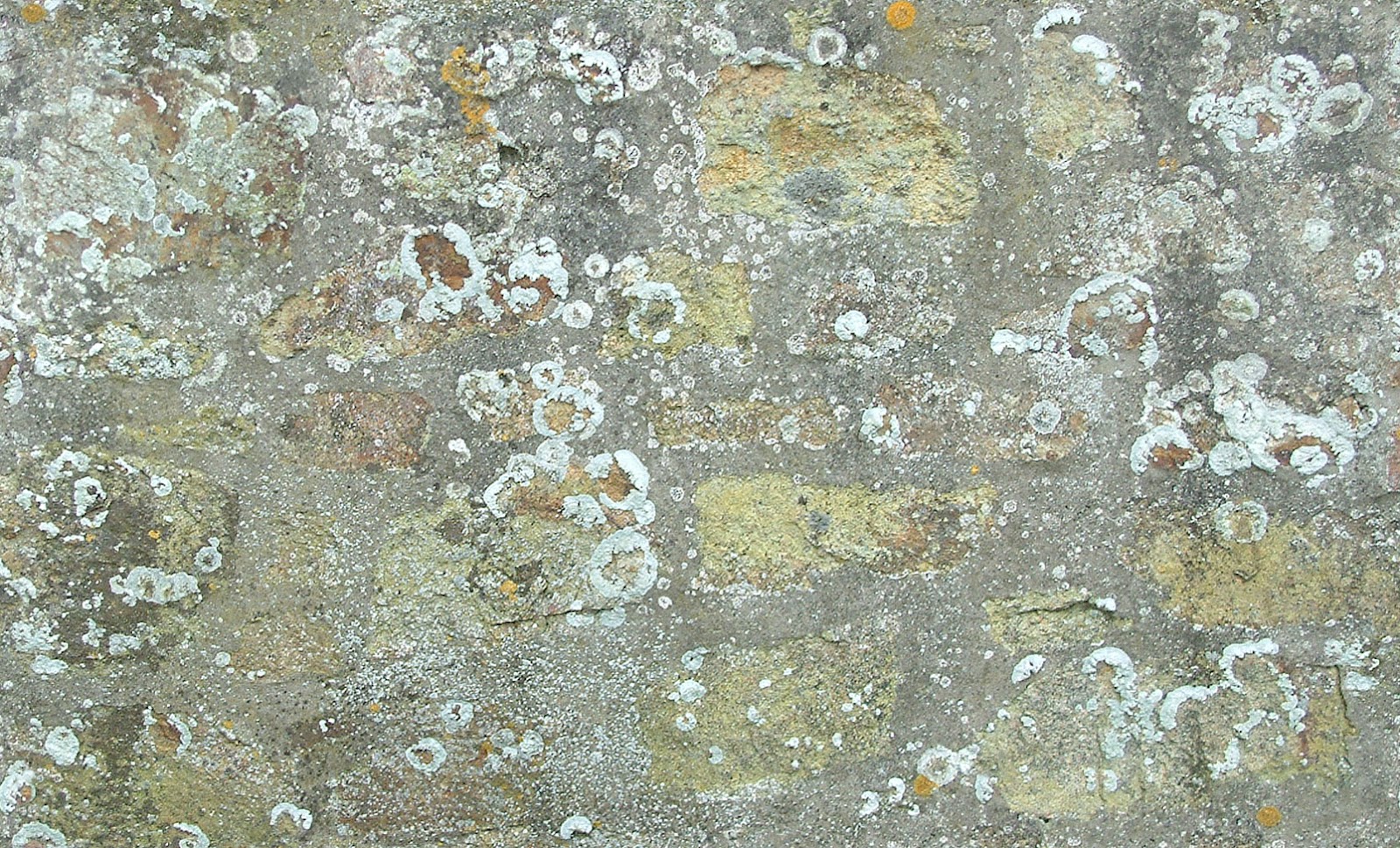 Texturas HD variadas gratis