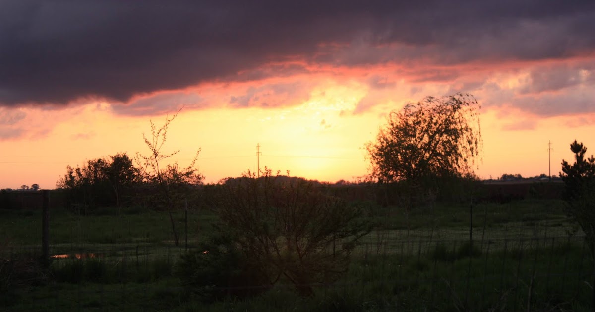 Genuine Faux Farm: But It Wasn't Funny