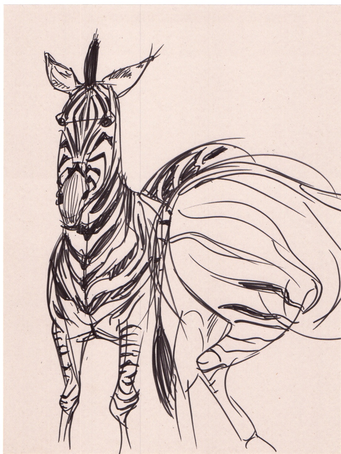 John K Stuff: Drawing Rut so Coloring Instead