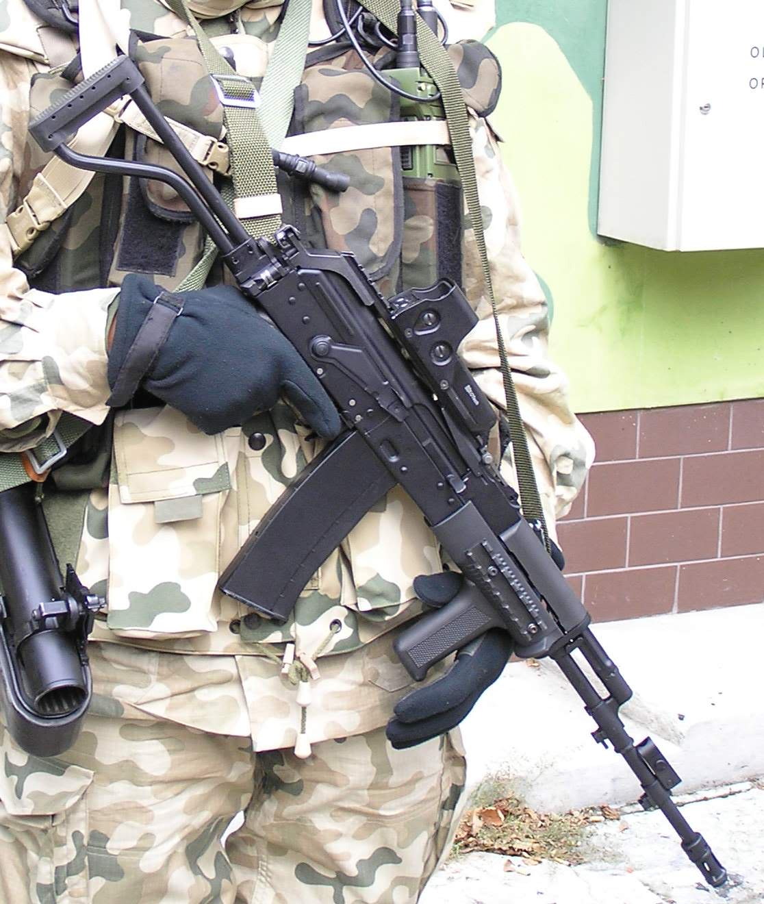 Ejército de Polonia.