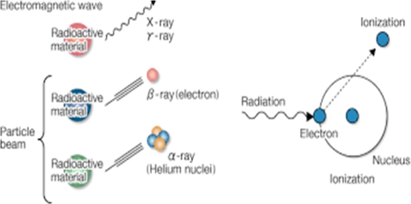 The Site for Healthcare Professionals: Radiotherapy.