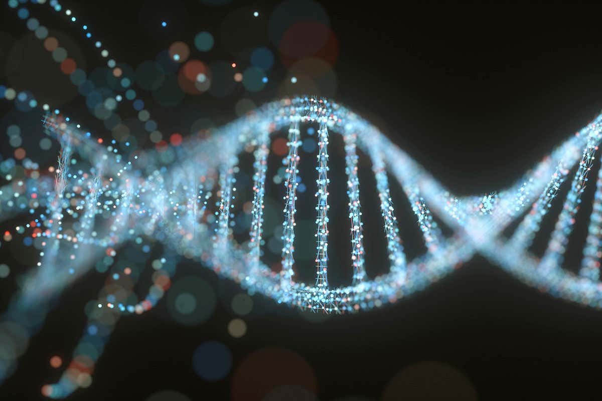Scientists Say They’ve Finally Sequenced the Entire Human Genome. Yes ... Scientists Say They’ve Finally Sequenced the Entire Human Genome. Yes ...