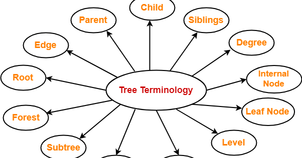 Tree Terminology - IT magazine