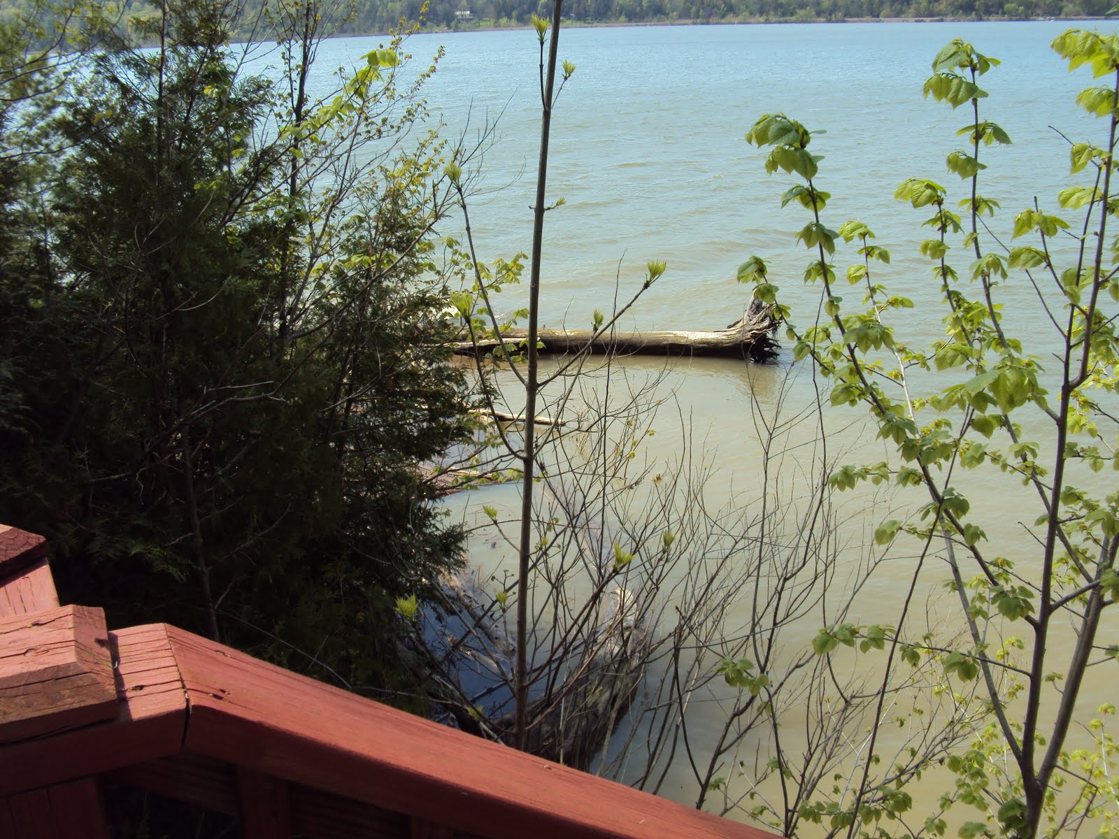 Lake Champlain Wampum