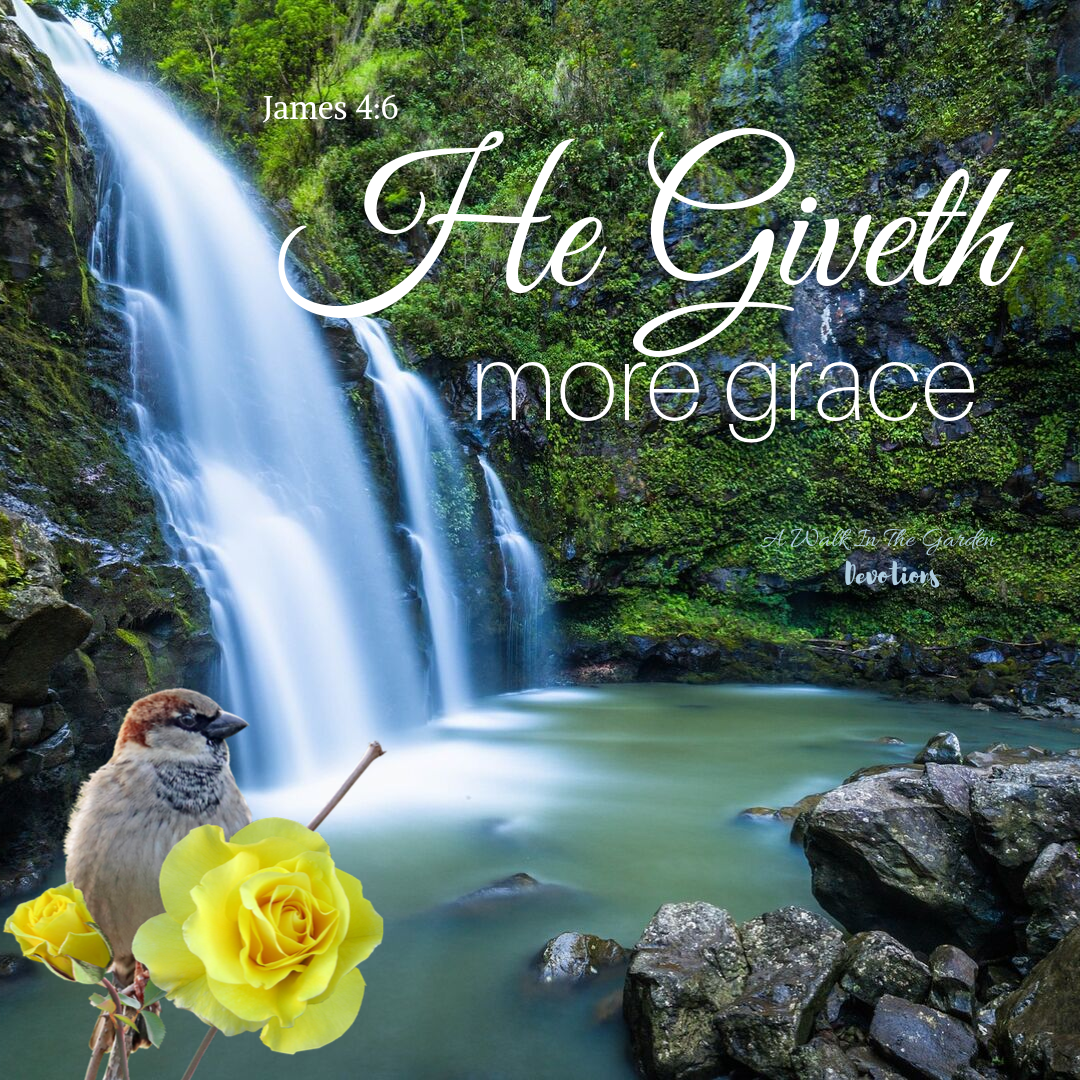 A Walk In The Garden: God's Manifold Grace Abounds