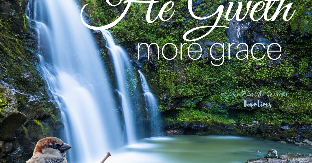 A Walk In The Garden: God's Manifold Grace Abounds
