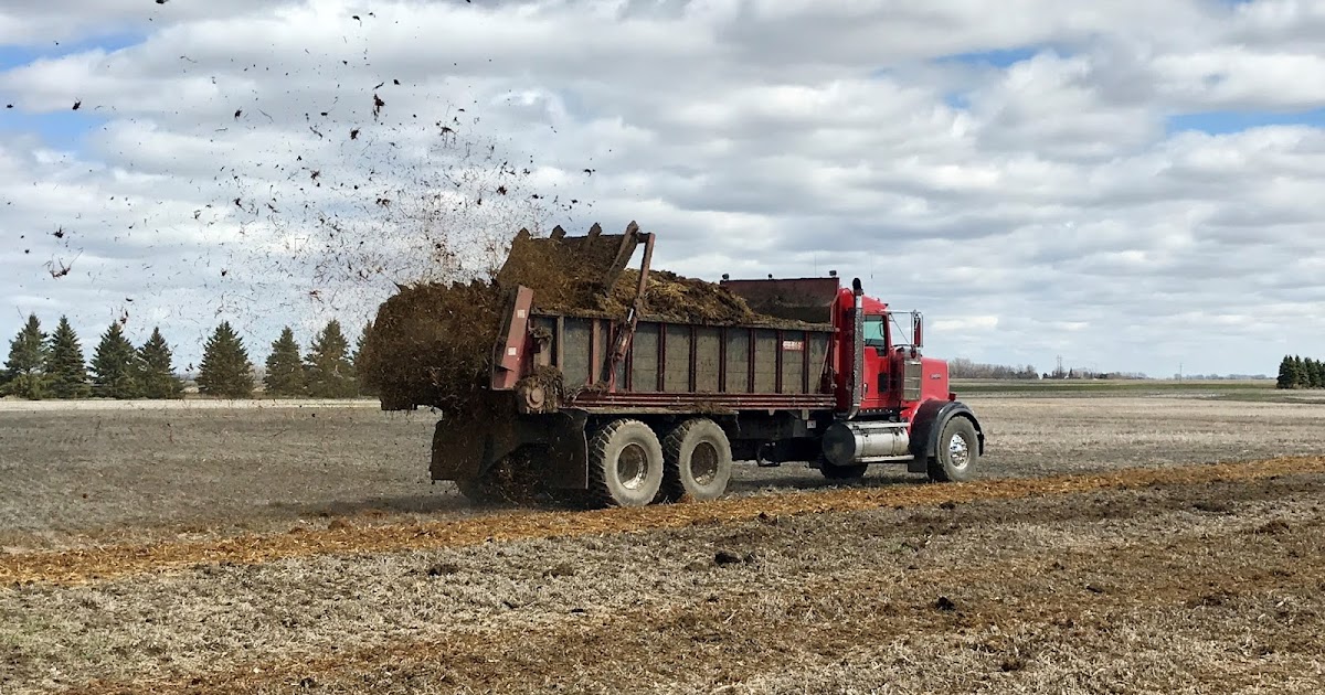 Tips for fall manure application and how to avoid nutrient loss
