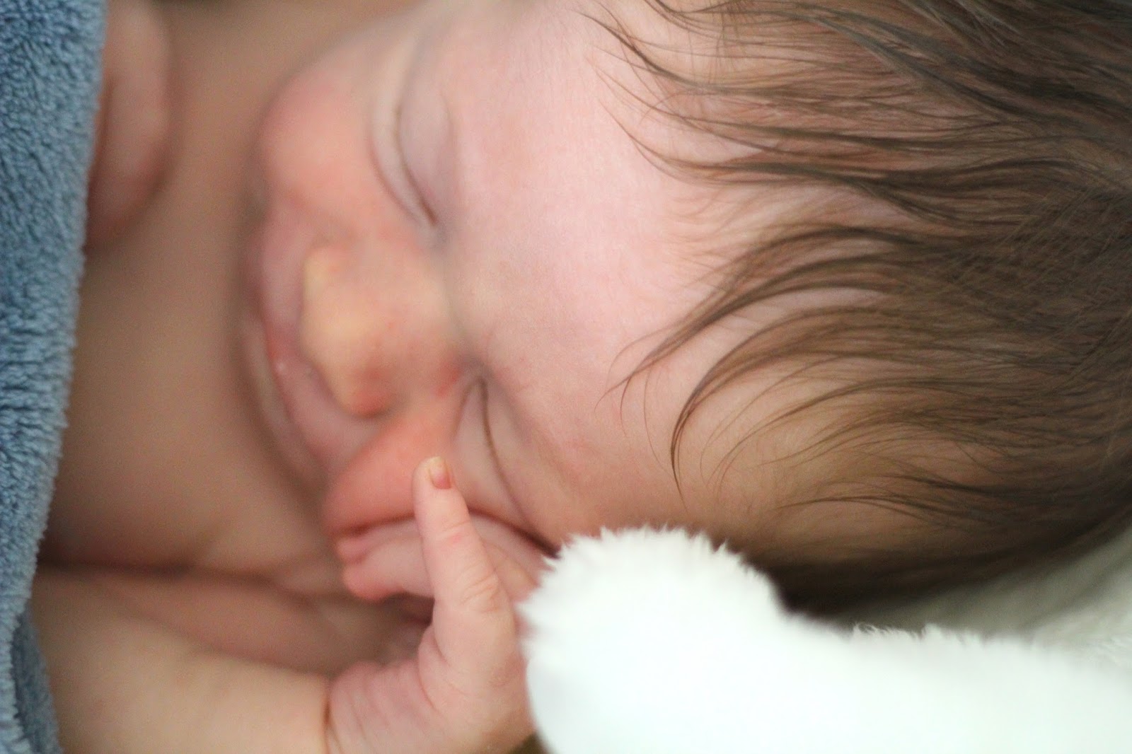 Marissa Says... | A Lifestyle Blog: Newborn photos of Leo Jones Ronca