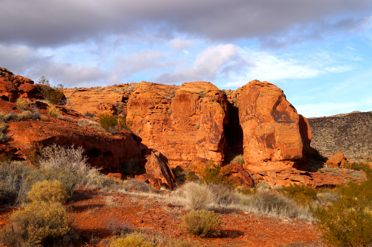 The Sunny Raw Kitchen: Walking in Beauty in the Red Cliffs Desert Reserve