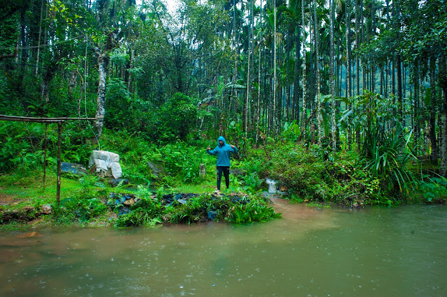 Monsoon Magic at Kodige Falls and Soormane Falls