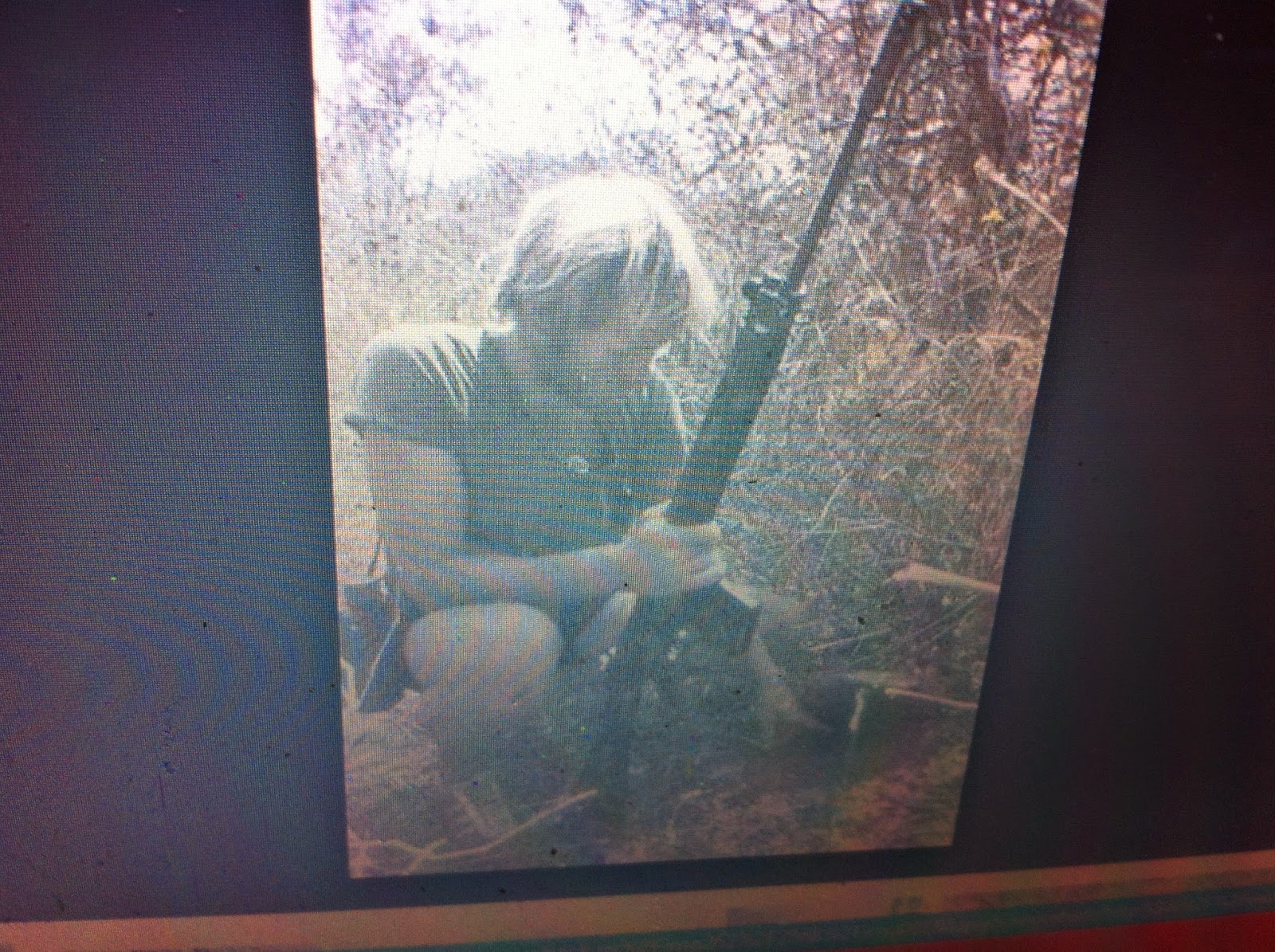 THE BLACK SOCIAL HISTORY:: BLACK SOCIAL HISTORY : THE RHODESIAN BUSH ...