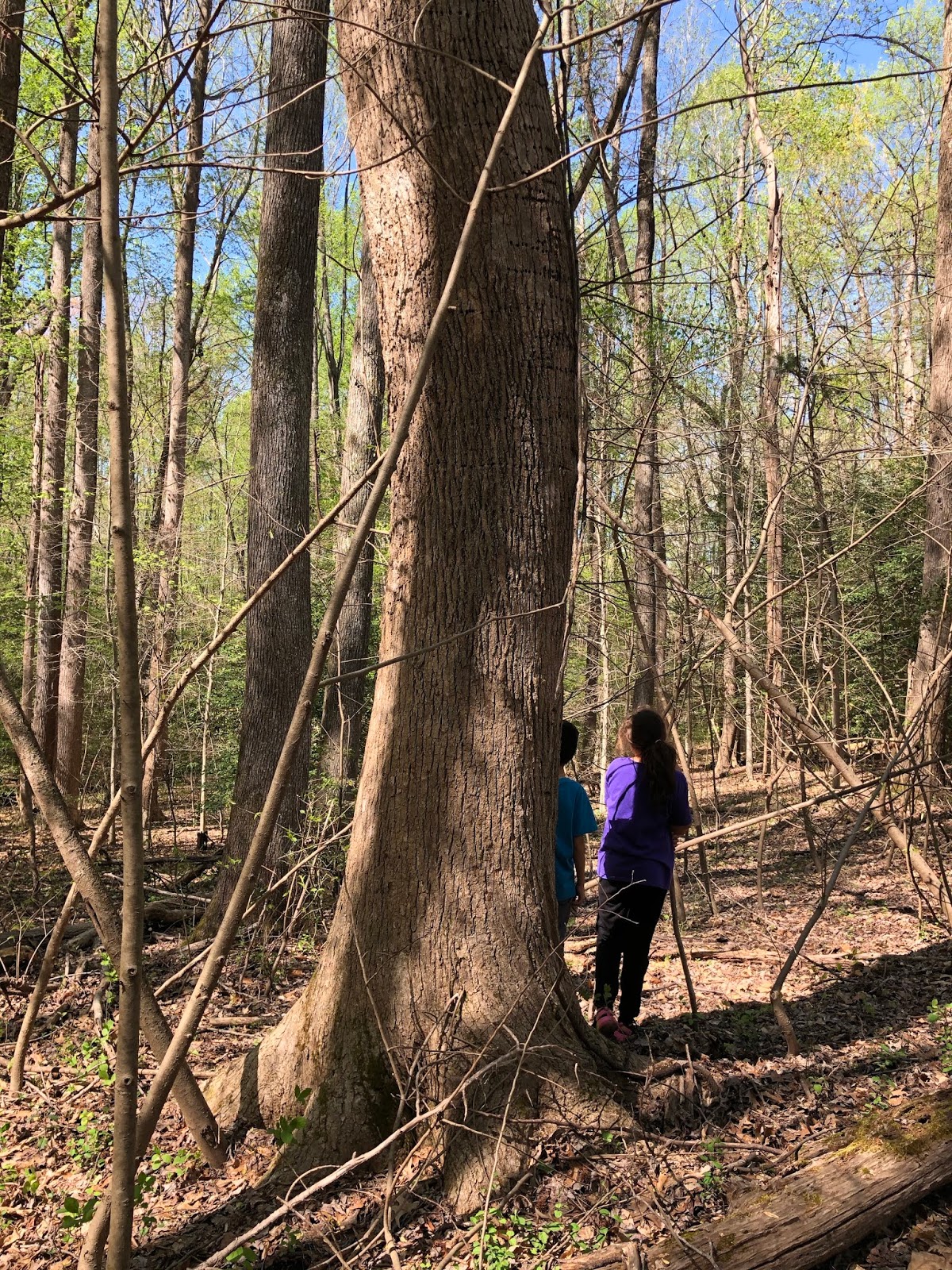 Ms. Nancy's Nook : The Molly Moocher Hunt!