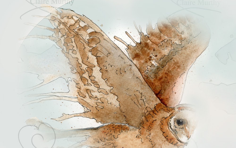 British Wildlife Artist Writer Illustrator