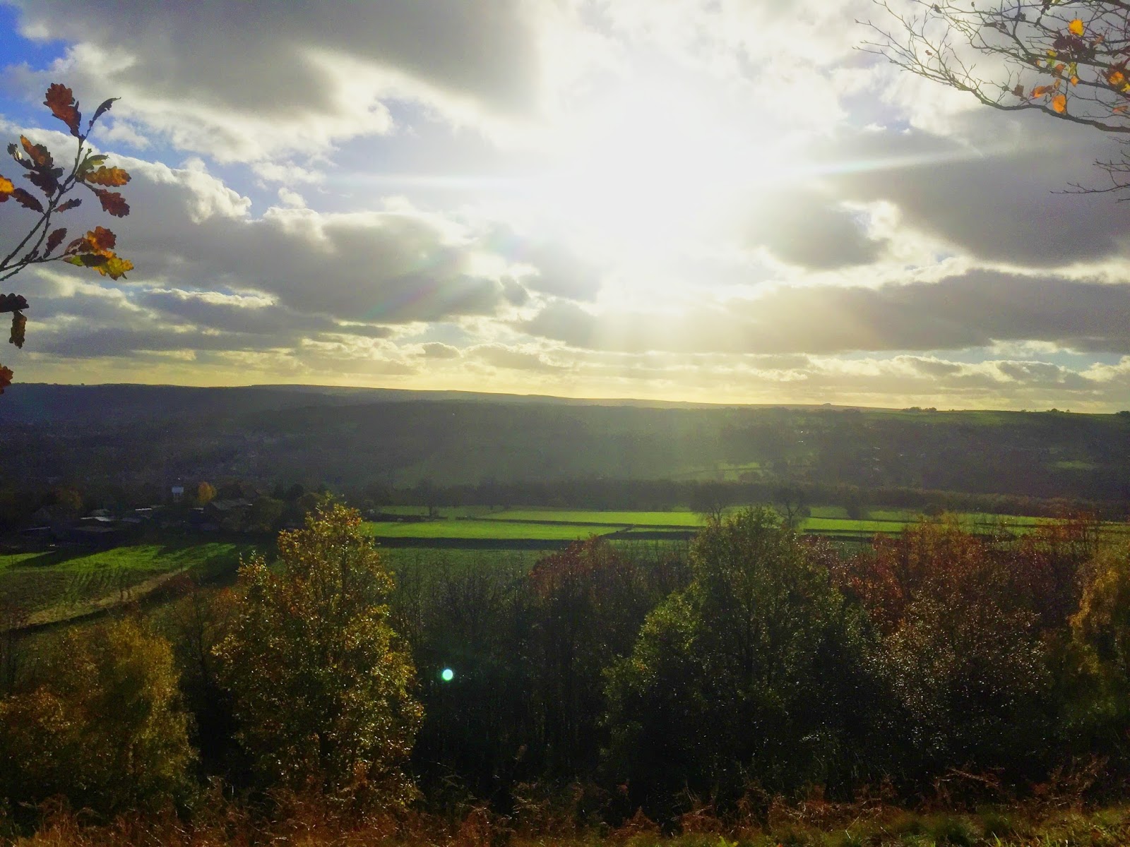 The Sheffield Native