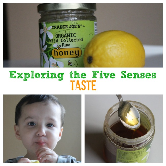 cute and peculiar: Exploring the five senses - Taste
