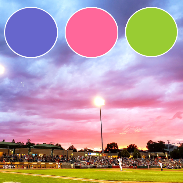 Power Poppy - The Blog: July 2019