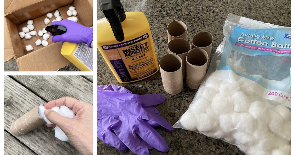 Thrifty Artsy Girl: The Next Chapter in my Journey with Lyme Disease ...