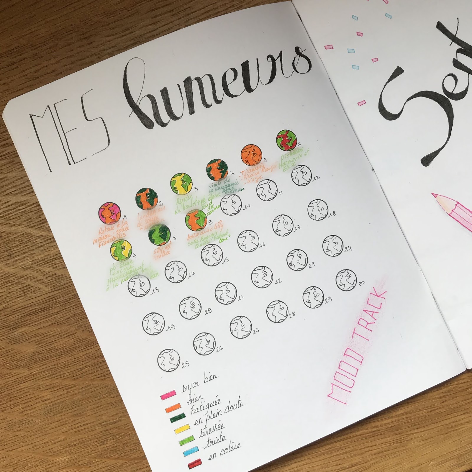 Astuce pour vivre mieux avec ses émotions et ses humeurs