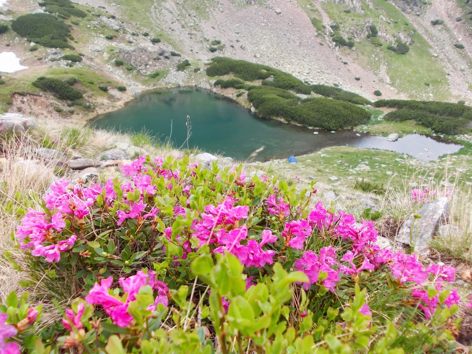 Asociatia de Turism Montan 'VIA-RETEZAT': Muntii Godeanu