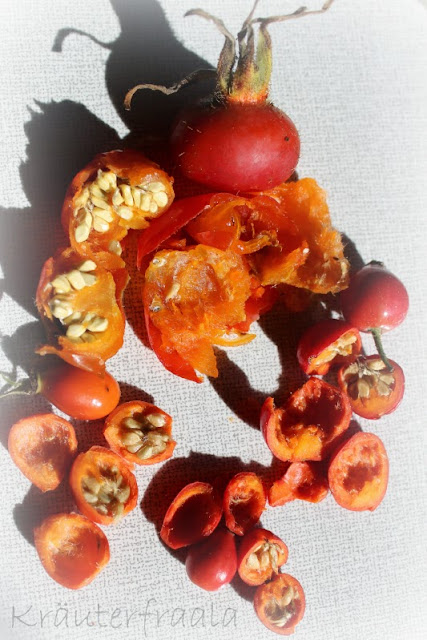 Beim Kräuterfraala: Von Hiffen- oder Hägemark, oder einfach ...