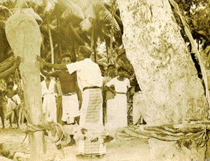 ආගිය කතා: සිංහල අලුත් අවුරුද්ද මාර්තු 26 වෙනිදාද