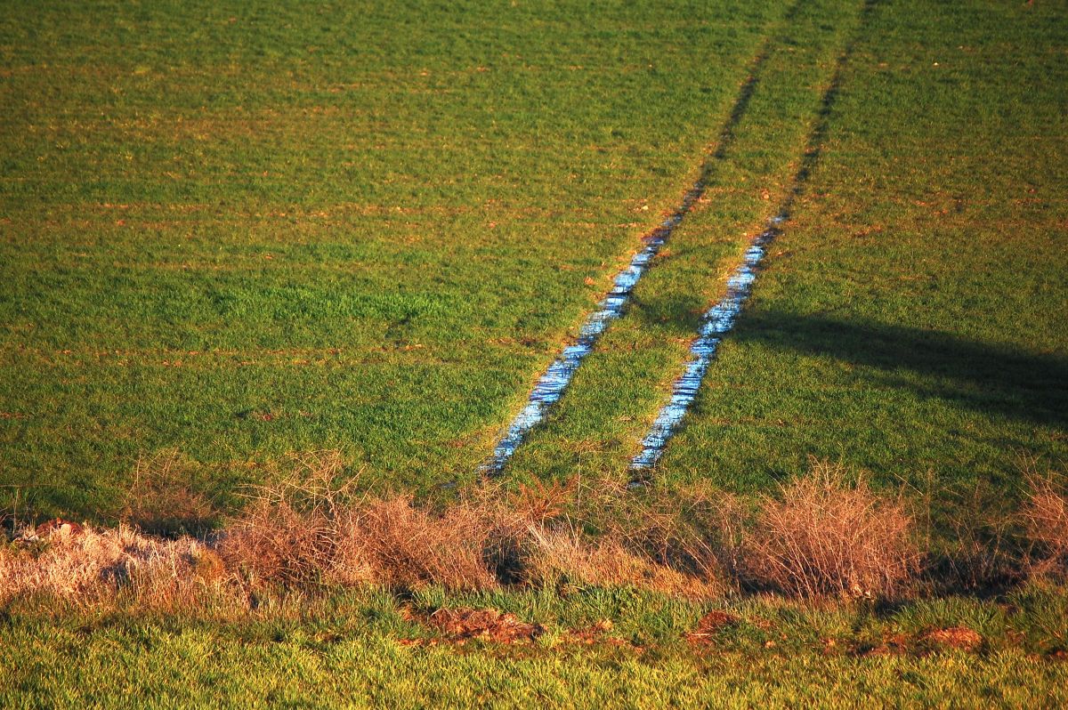 ALMANAQUE NATURAL: noviembre 2012