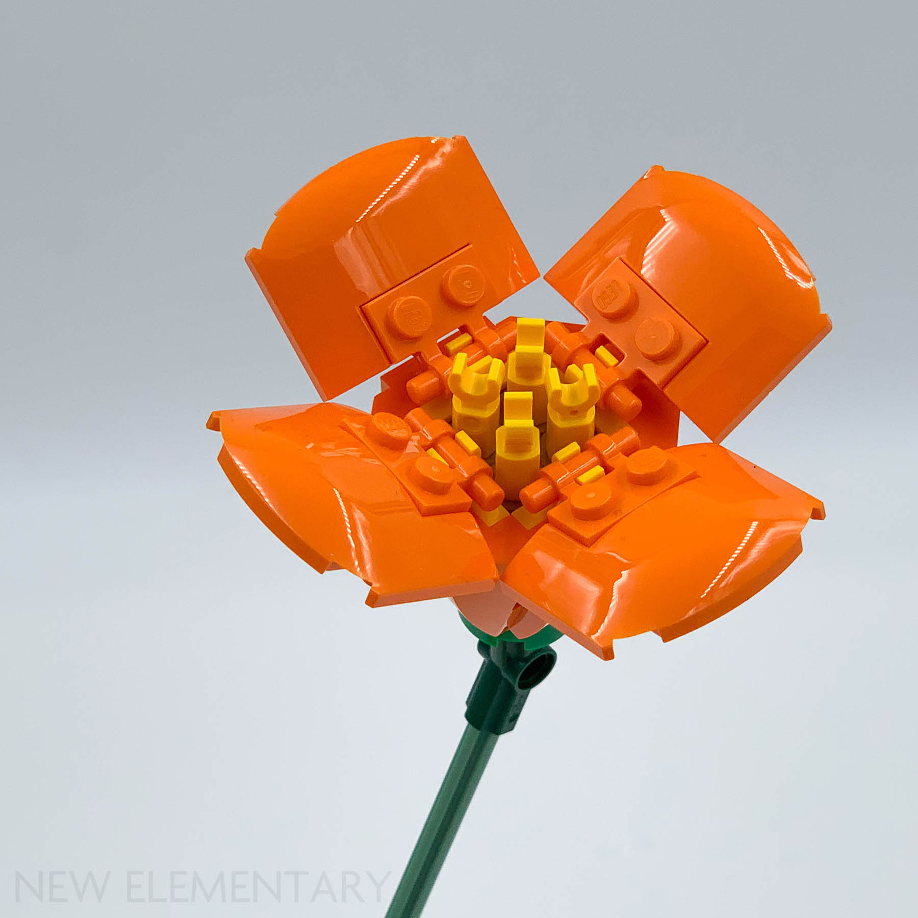 LEGO® Botanical Collection review: 10280 Flower Bouquet | New ...