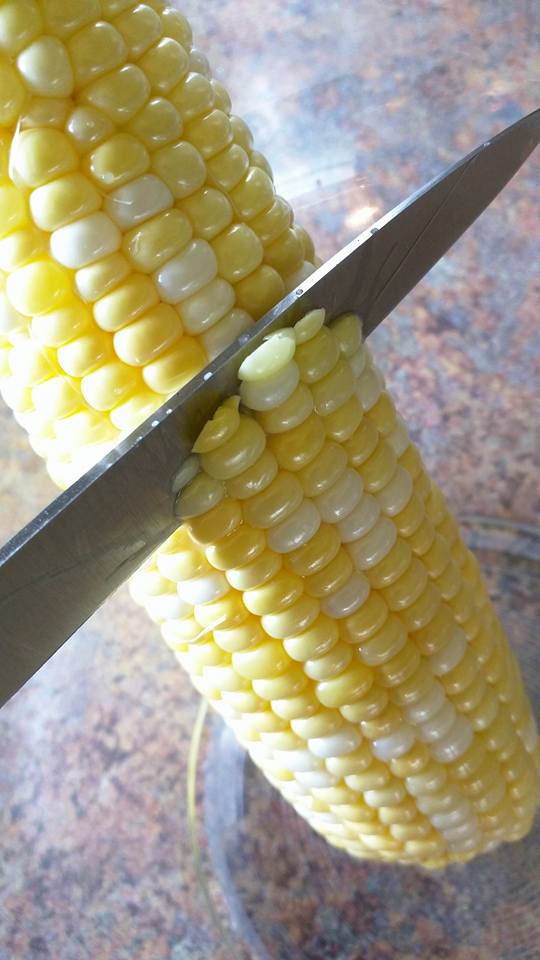 Appalroot Farm: Traditional Kentucky Mountain Cream Corn