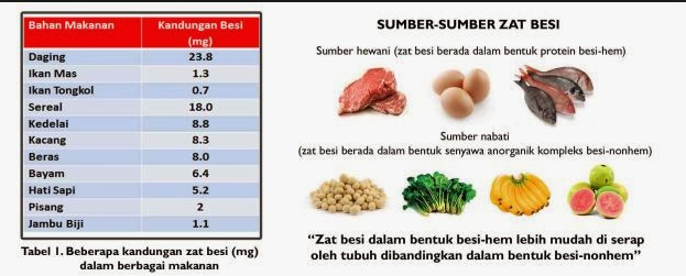 Top 10 Makanan yang Mengandung Zat Besi Tinggi - karya mahasiswa nurse