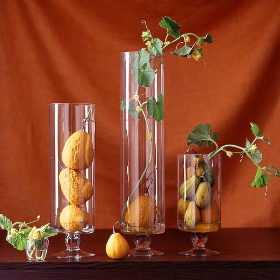 Northern Nesting: Pumpkins & Gourds